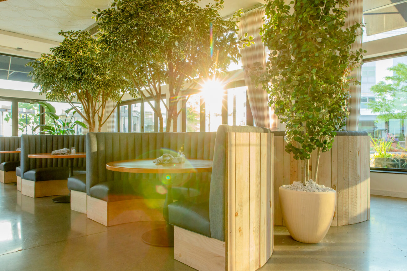 The Beth - Assembly Design Studio